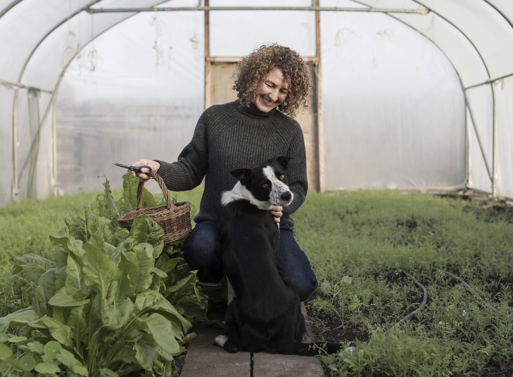Farm - Inis Meáin Island Stays