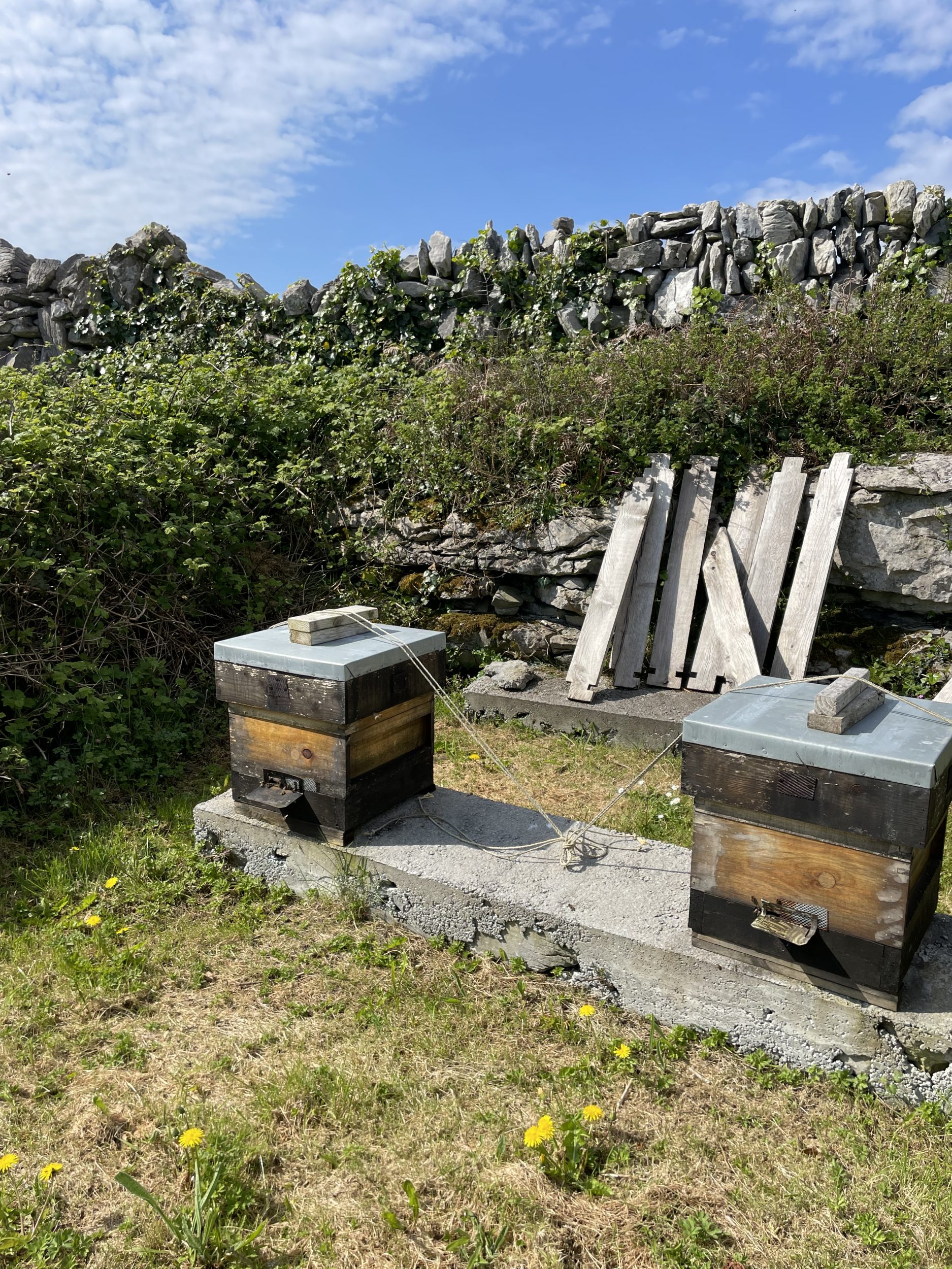 Farm - Inis Meáin Island Stays