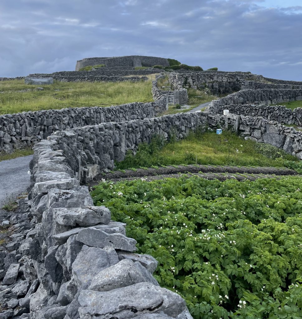 FAQ - Inis Meáin Island Stays