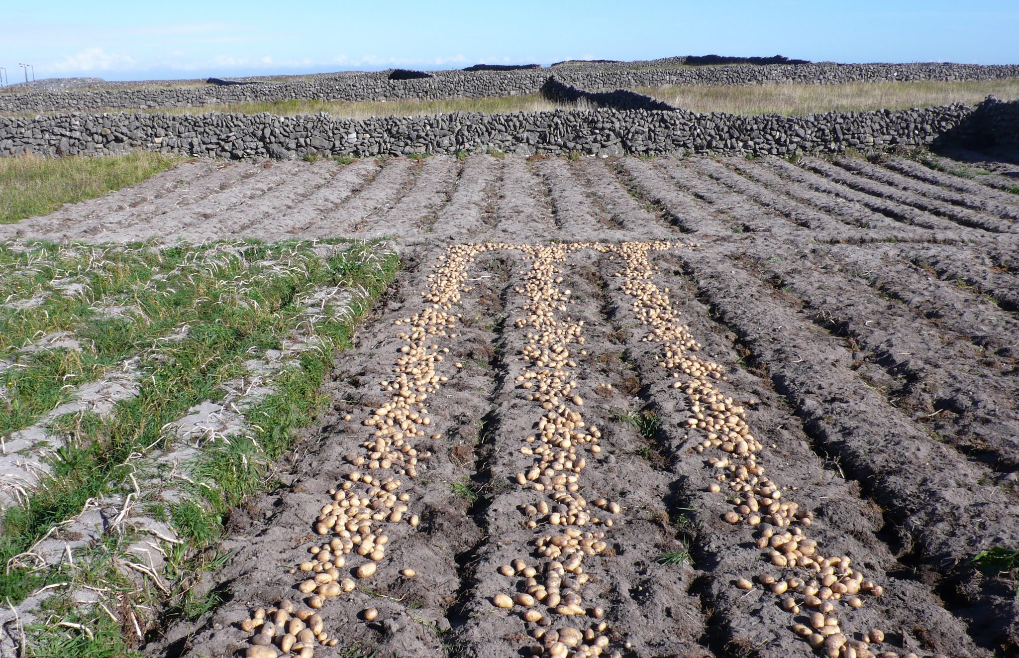 Farm - Inis Meáin Island Stays